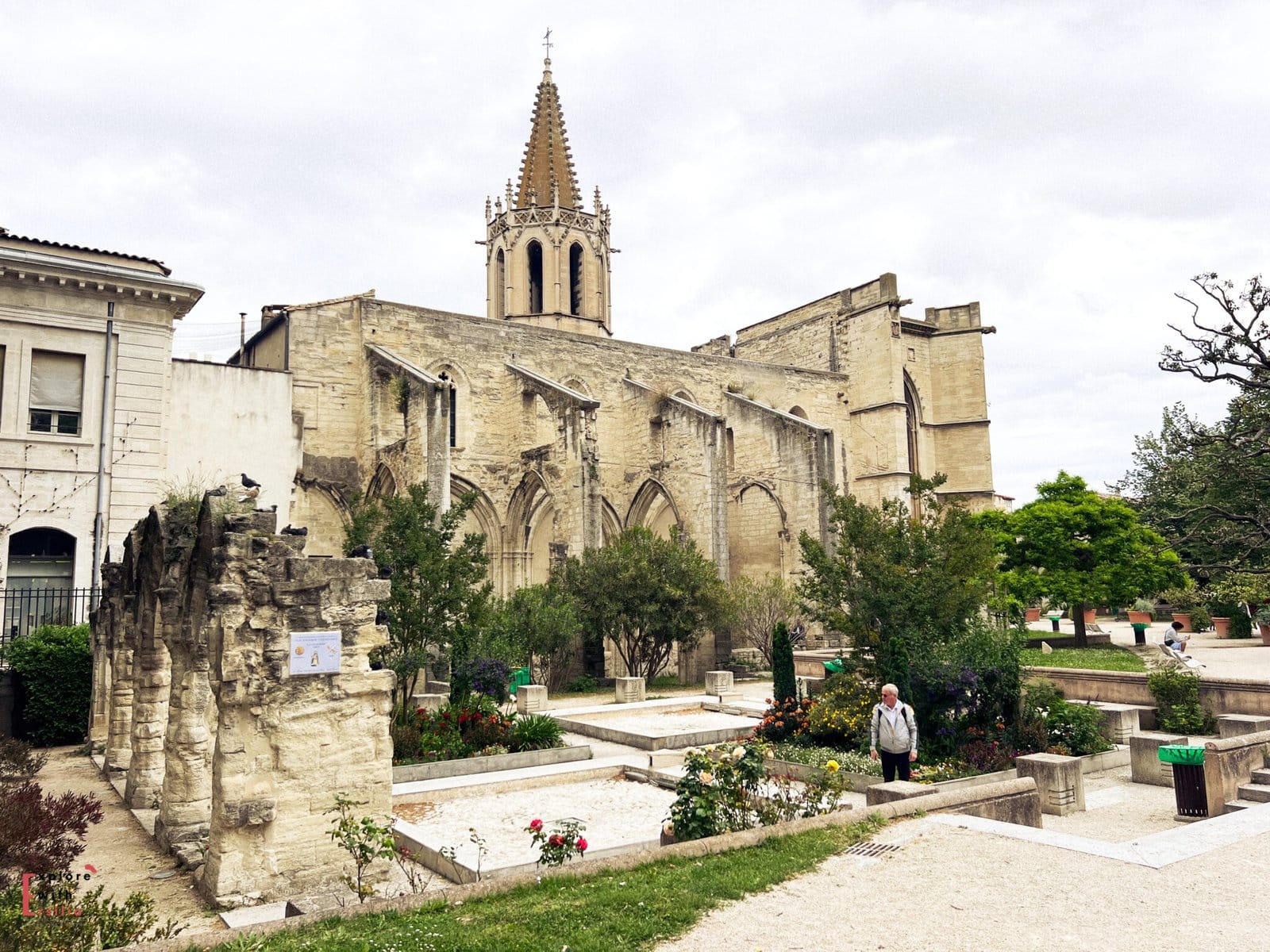 One Day in Avignon, an itinerary to experience it all